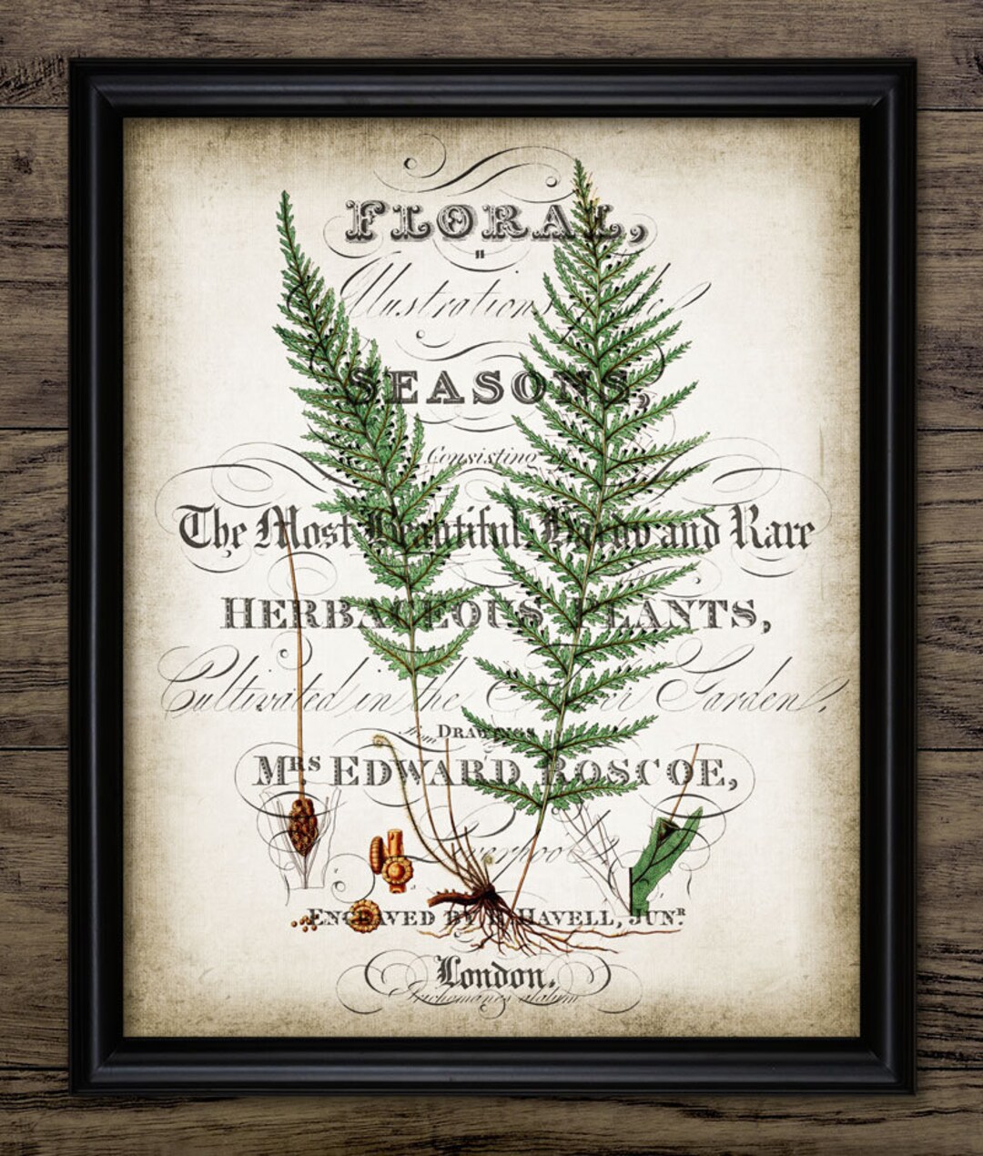 Fern Wall Art, Printable Fern, Woodland Fern, Forest Fern, Vintage ...