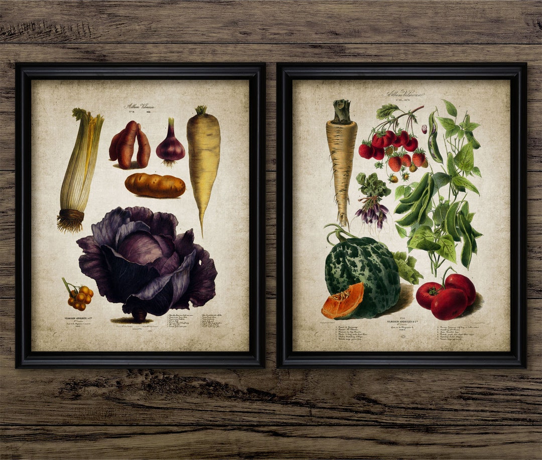 Vegetables Wall Art Set of 2, Printable Kitchen Vegetable, Cooking ...