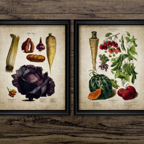 Vintage Fruit and Vegetable Art Print Set of 2 Printable - Etsy