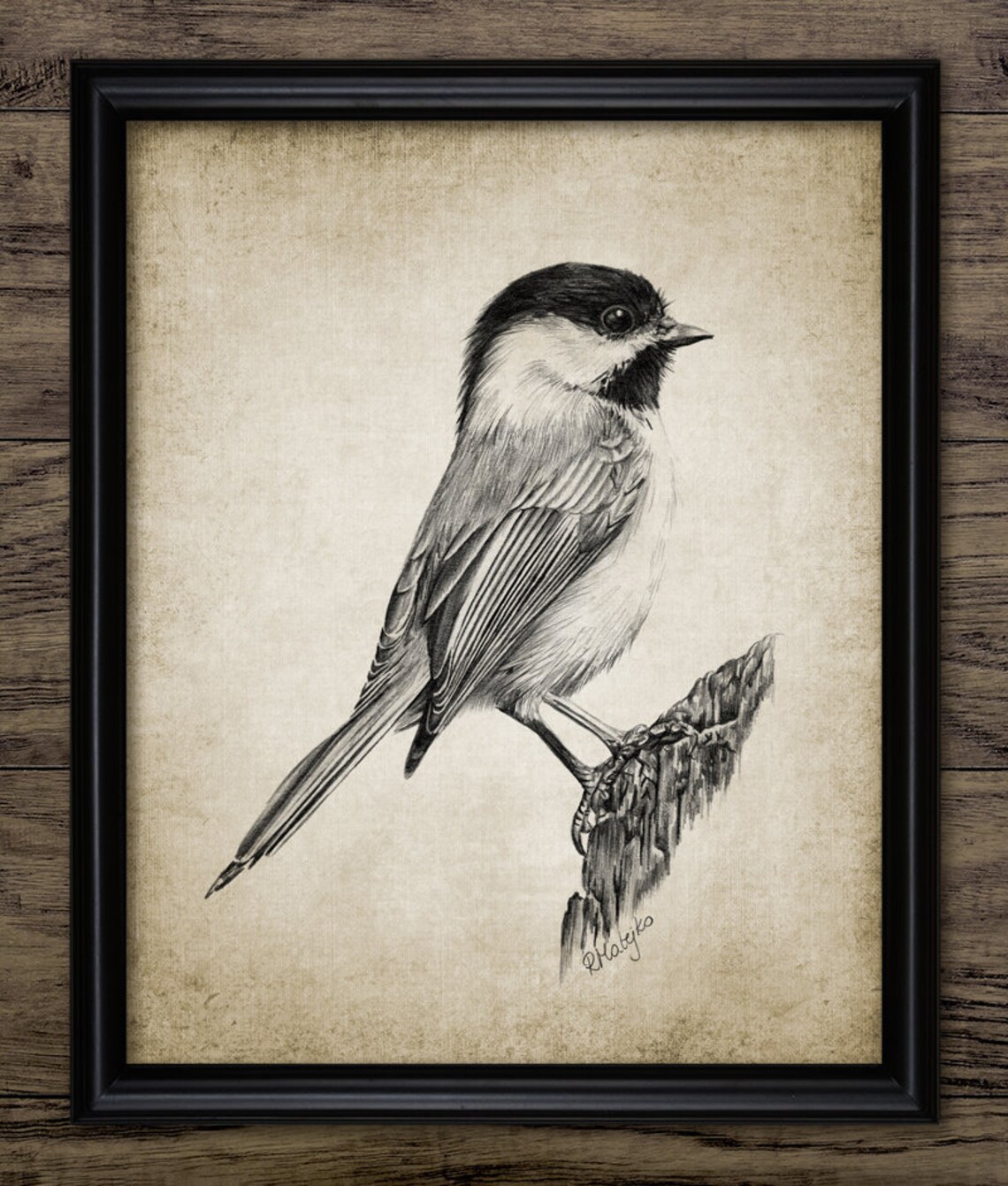 Chickadee Pencil Drawing Printable Chickadee Drawing | Etsy