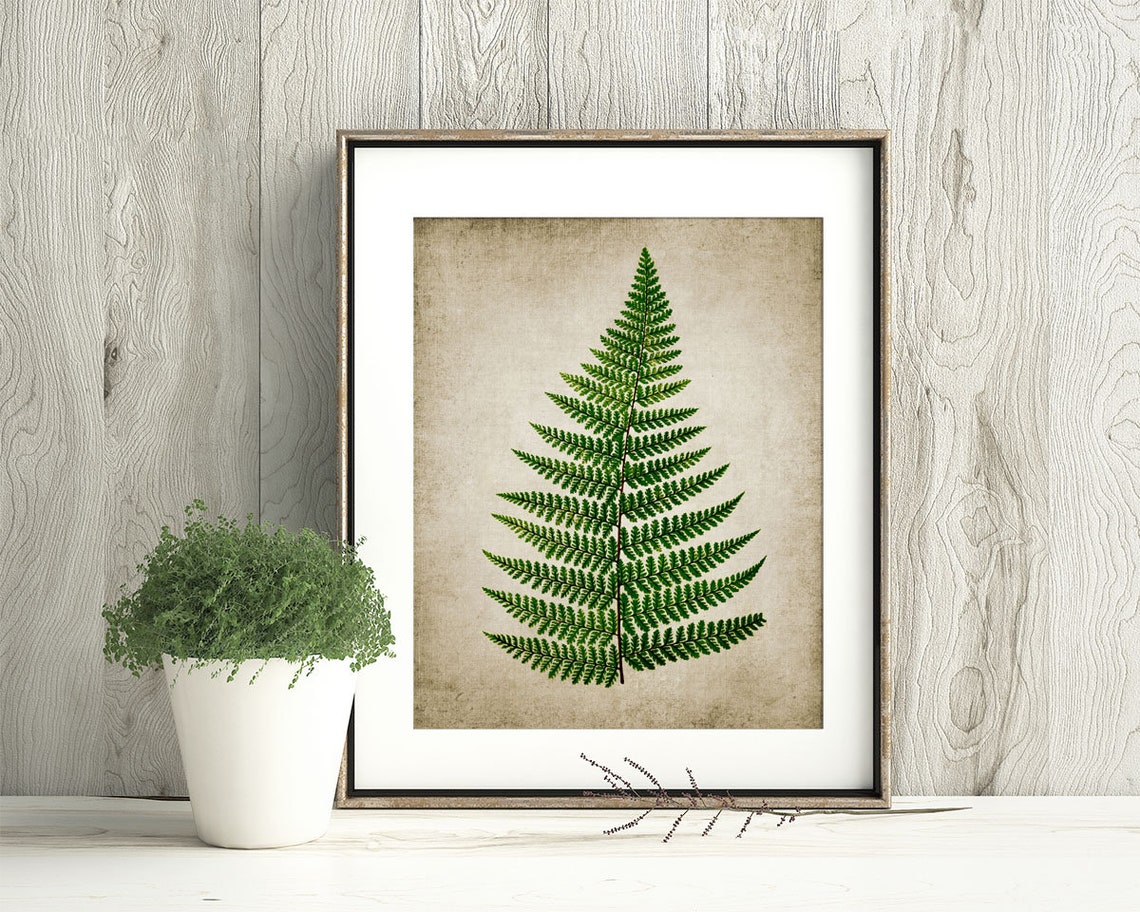 Fern Wall Art, Printable Fern, Woodland Fern, Forest Fern, Vintage ...