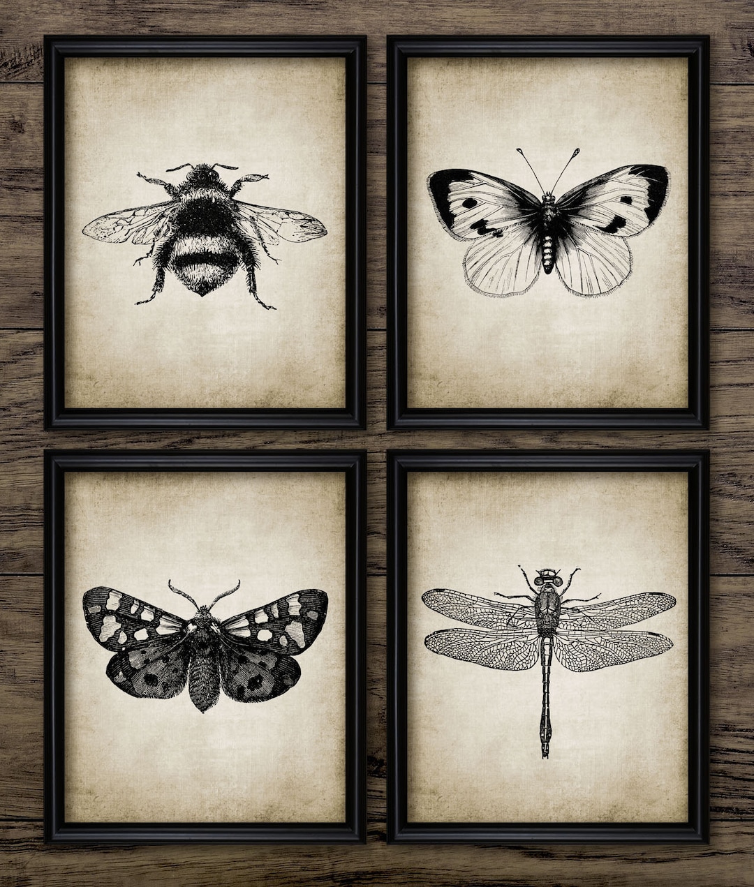 Vintage Insect Wall Art Set of 4, Printable Insects, Bumble Bee ...