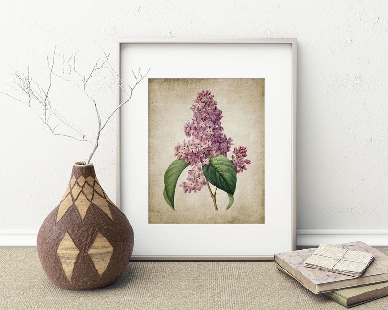 Lilac Flower Wall Art Print, Rustic Wall Decor, Lilac Tree Illustration ...