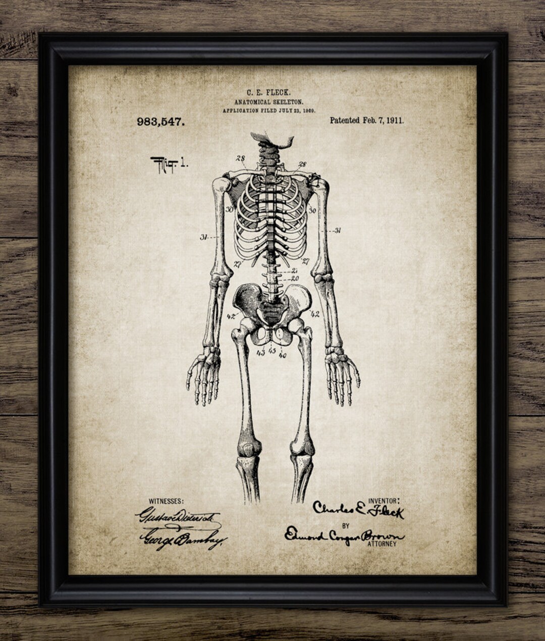 Medical Skeleton Wall Art, Printable Human Skeleton, Anatomy, Medical ...