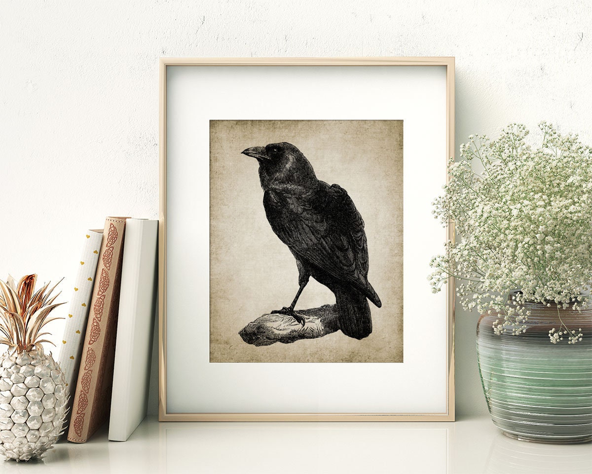 Raven Wall Art Print Antique Raven Poster Gothic Decor Etsy Denmark