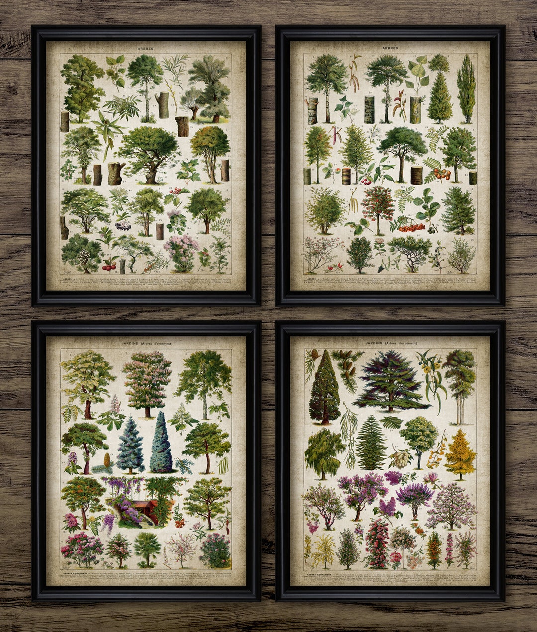Vintage Tree Print Set of 4, Printable Tree, Tree Print, Vintage ...