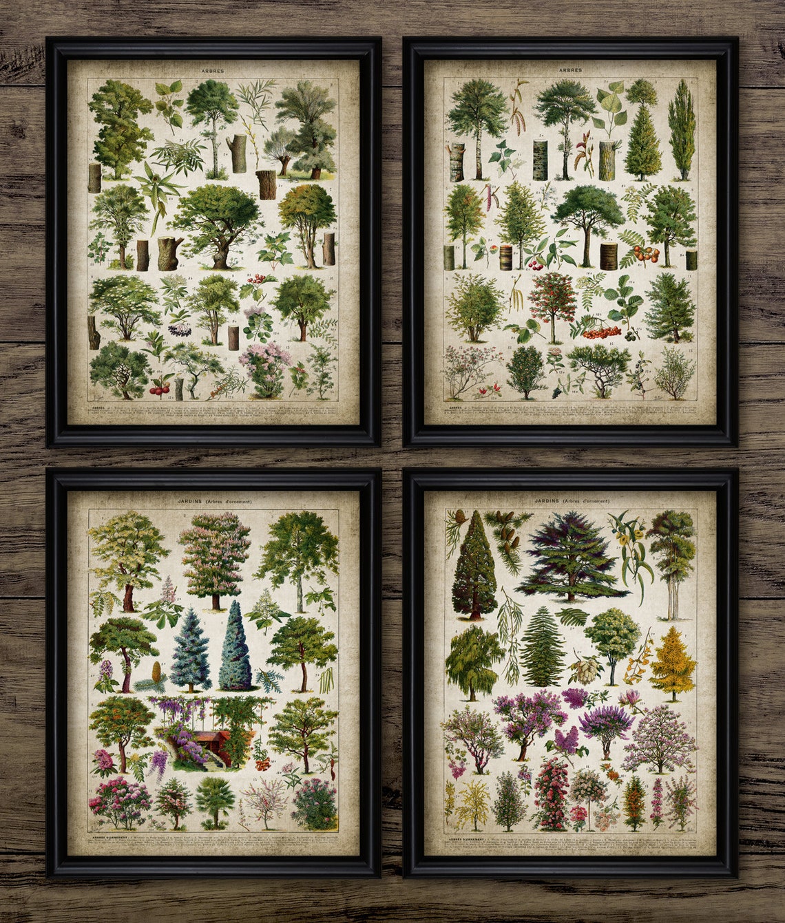 Vintage Tree Print Set of 4 Printable Tree Tree Print - Etsy