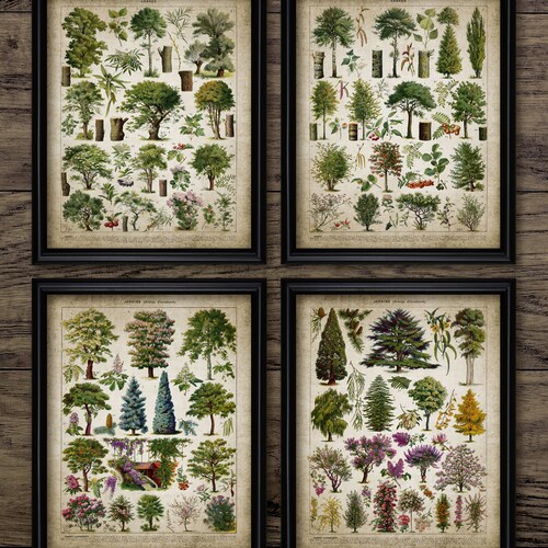 Vintage Tree Print Set of 4 Printable Tree Tree Print - Etsy