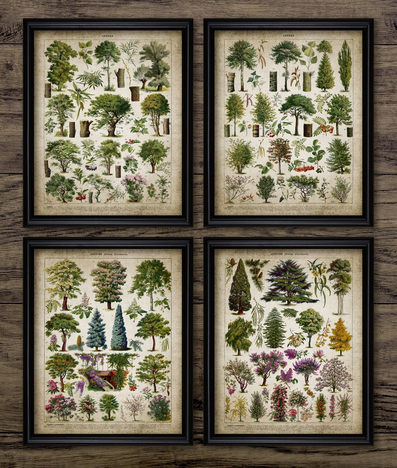 Vintage Tree Print Set of 4 Printable Tree Tree Print - Etsy
