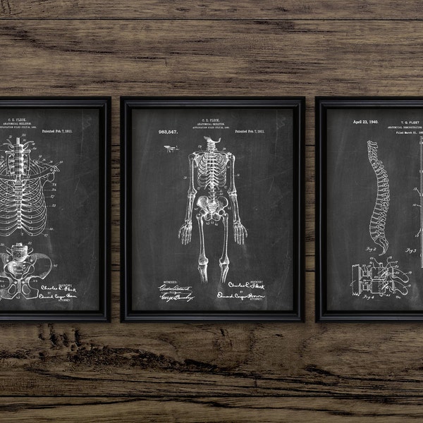 Human Anatomy Skeleton Poster - Etsy