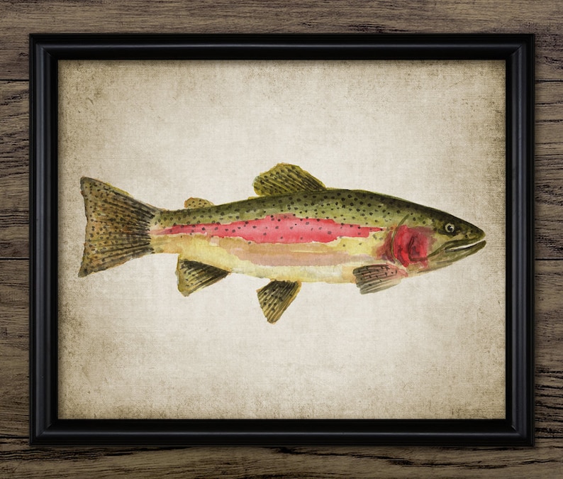 Steelhead Trout Watercolor Painting Printable Fish Angling - Etsy