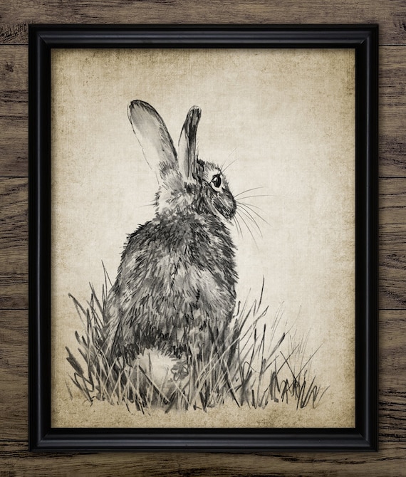 Rabbit Drawing Printable Bunny Drawing Rabbit Wall Art - Etsy