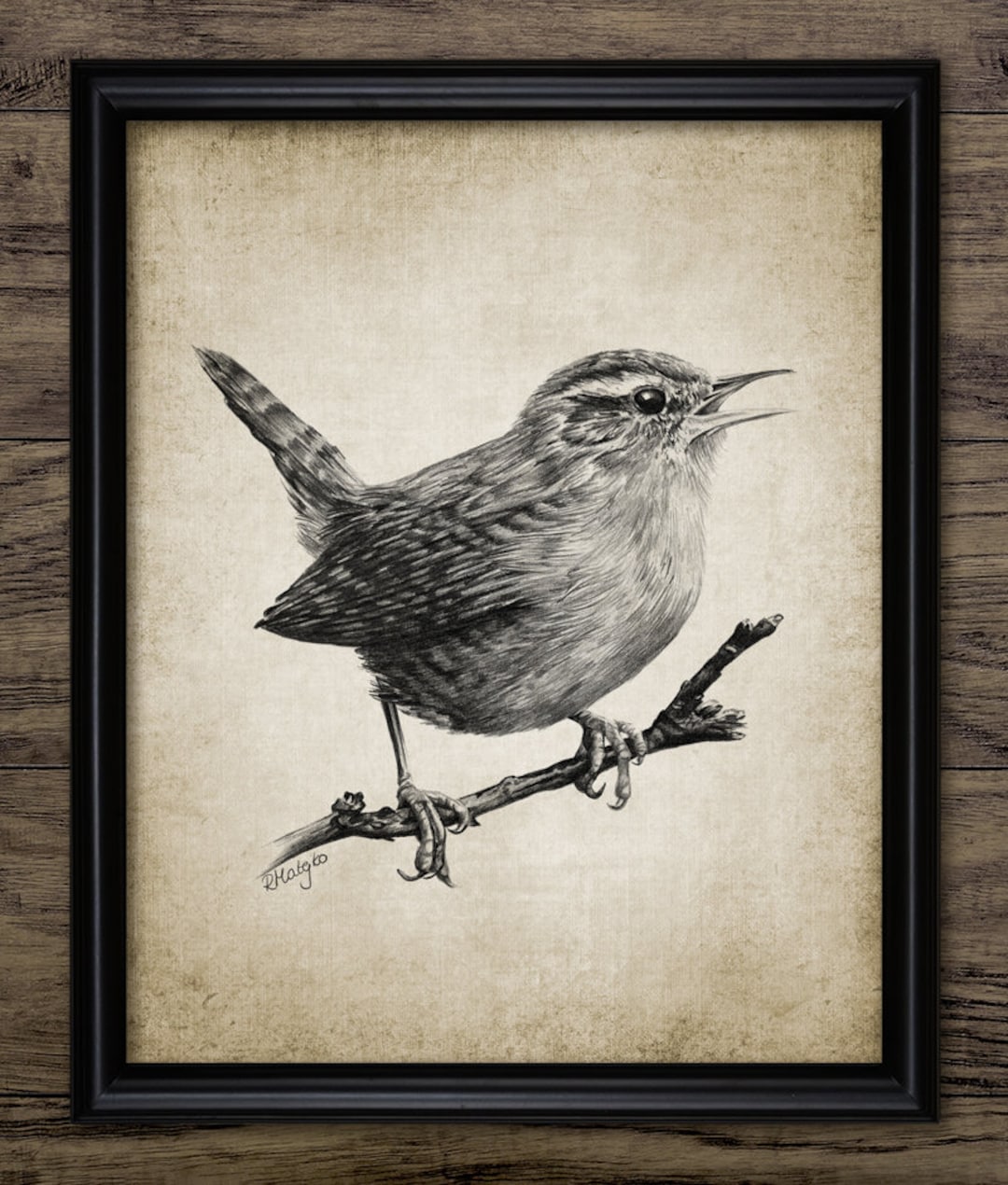 Wren Pencil Drawing, Printable Wren Drawing, Wren Bird Decor, Wren Art ...