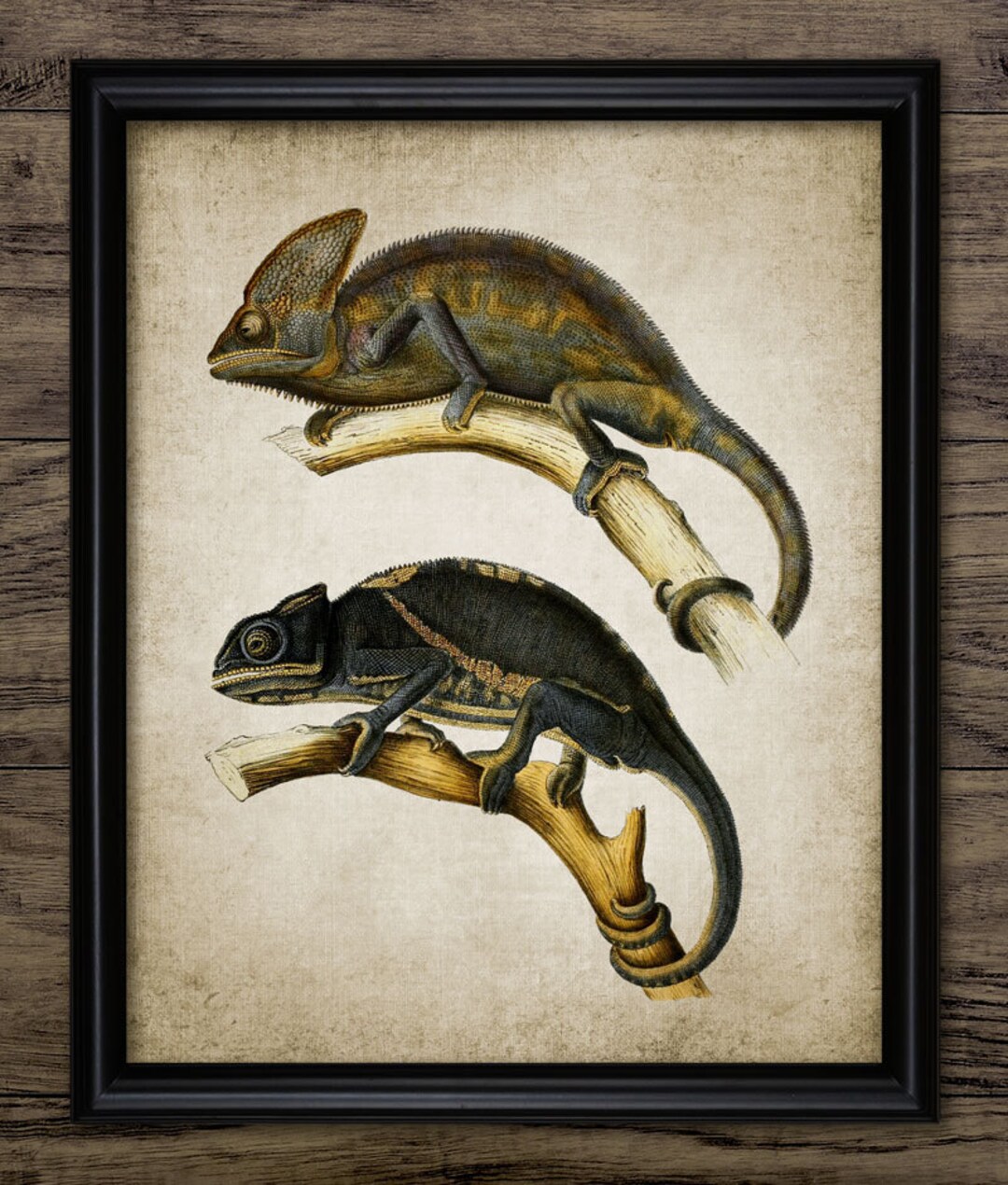 Vintage Chameleon Wall Art, Printable Chameleon, Lizard, Reptile ...