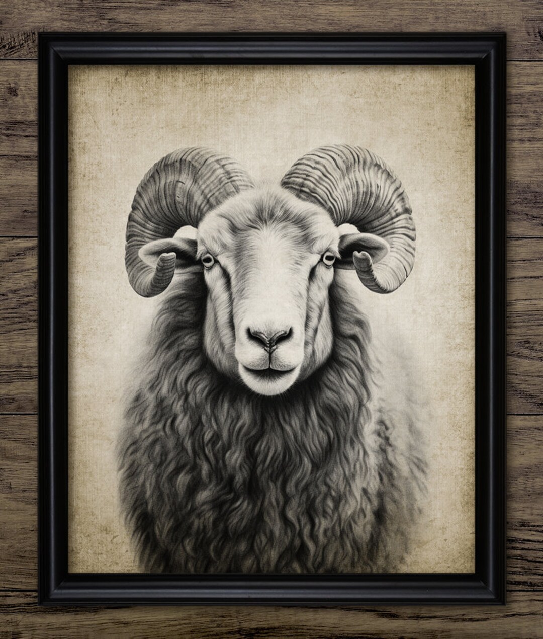 Sheep Wall Art, Printable Sheep, Sheep Farming, Ram, Farm Animal, Sheep ...