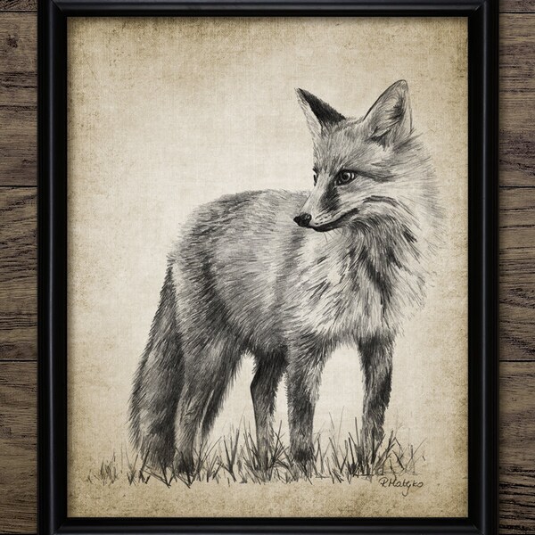Fox Drawing - Etsy