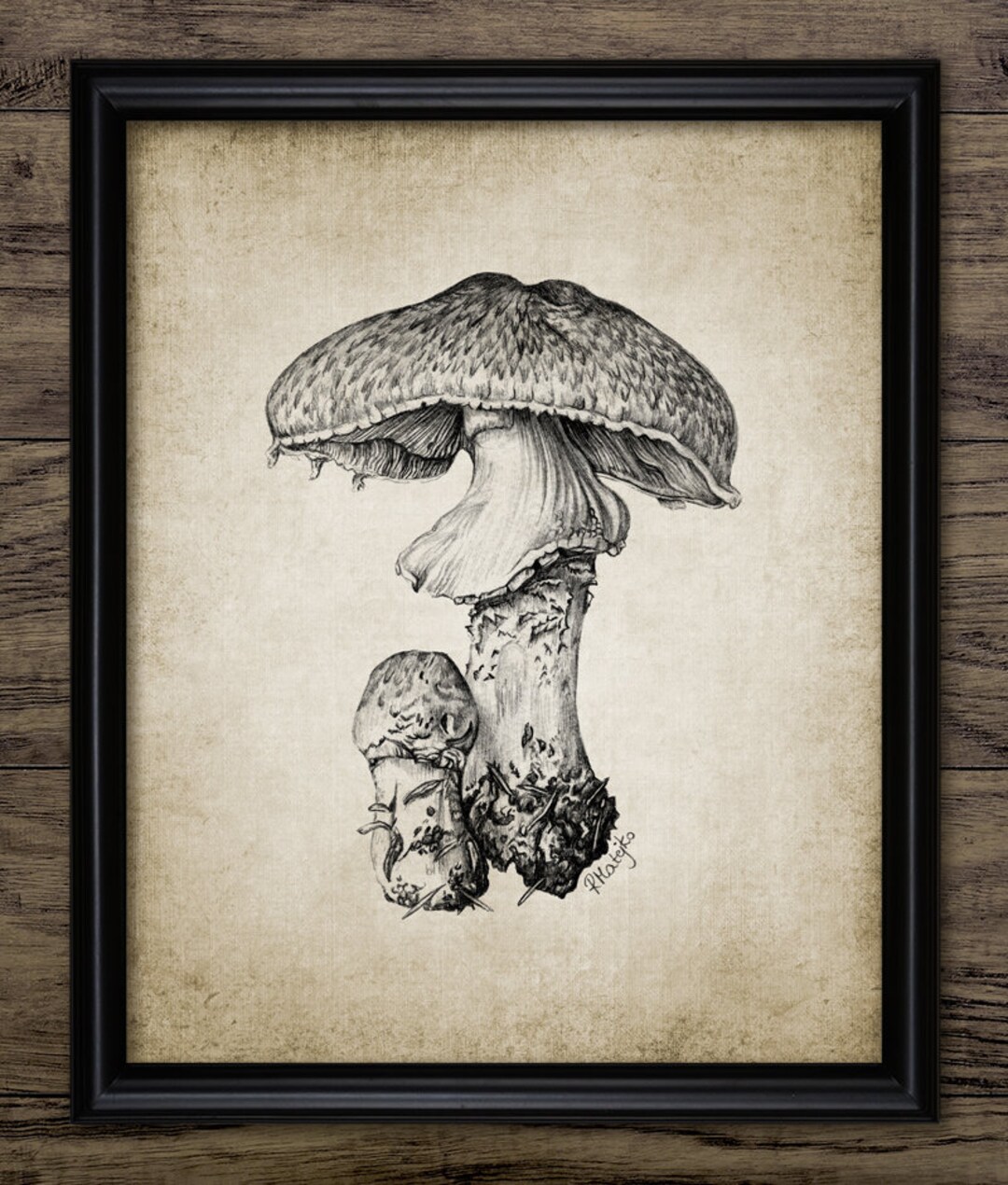 Autumn Mushroom Pencil Drawing Wall Art, Printable Forest Mushroom ...