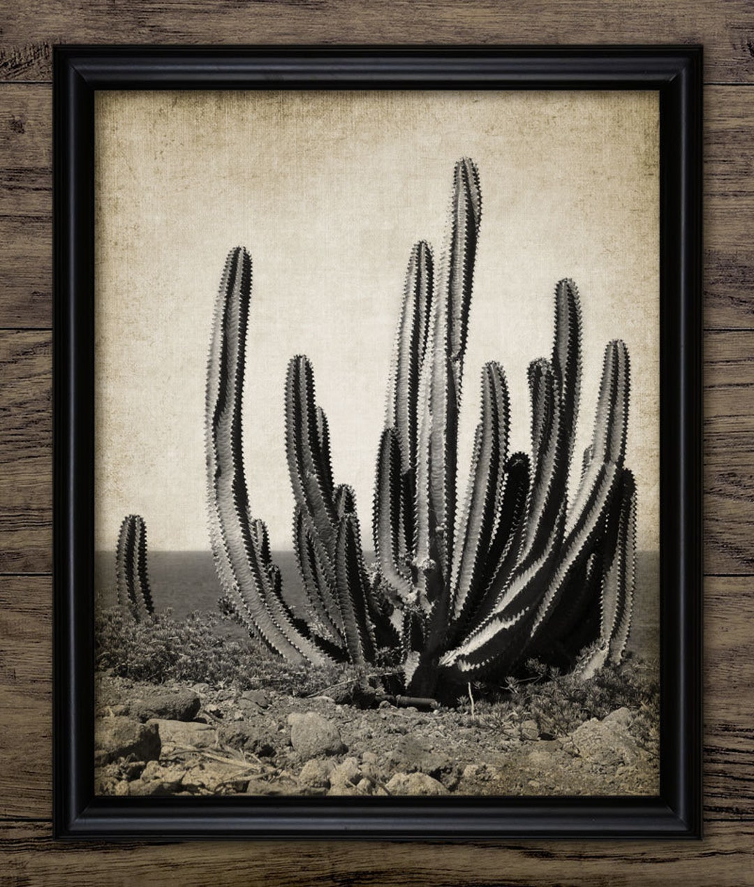 Vintage Cactus Wall Art, Printable Cactus, Cacti, Desert Cactus ...
