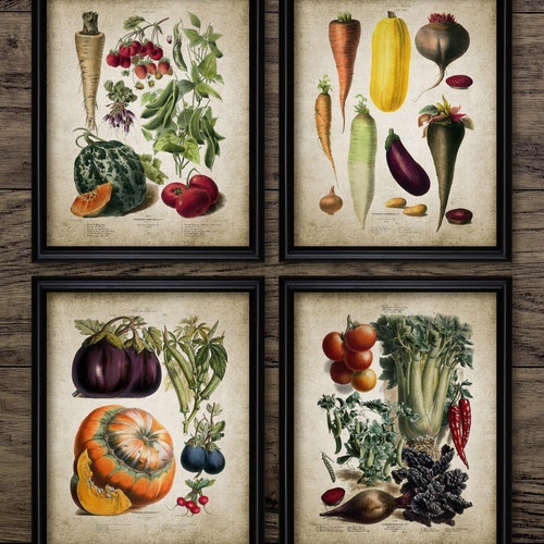 Vegetable Printable Set of 4 Kitchen Wall Decor Kitchen - Etsy