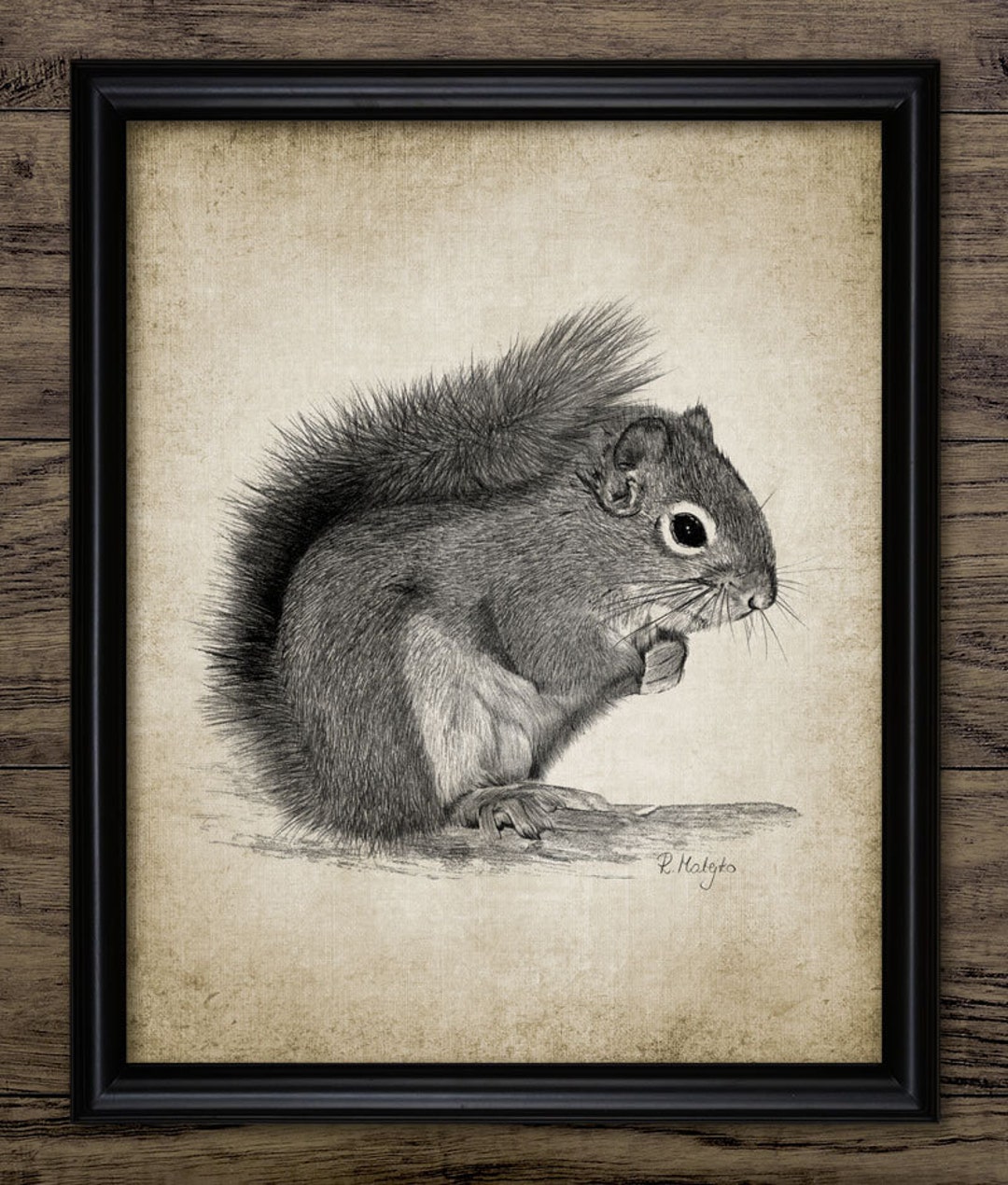 Fall Squirrel Wall Art, Printable Squirrel Drawing, Cute Squirrel, Fall ...