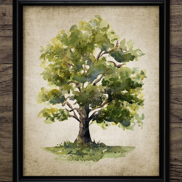 Oak Tree Watercolor Wall Art - Etsy