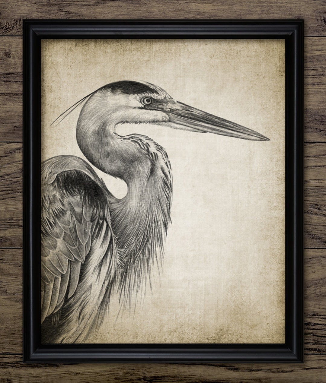 Heron Pencil Drawing, Printable Heron Drawing, Heron Bird, Nature ...