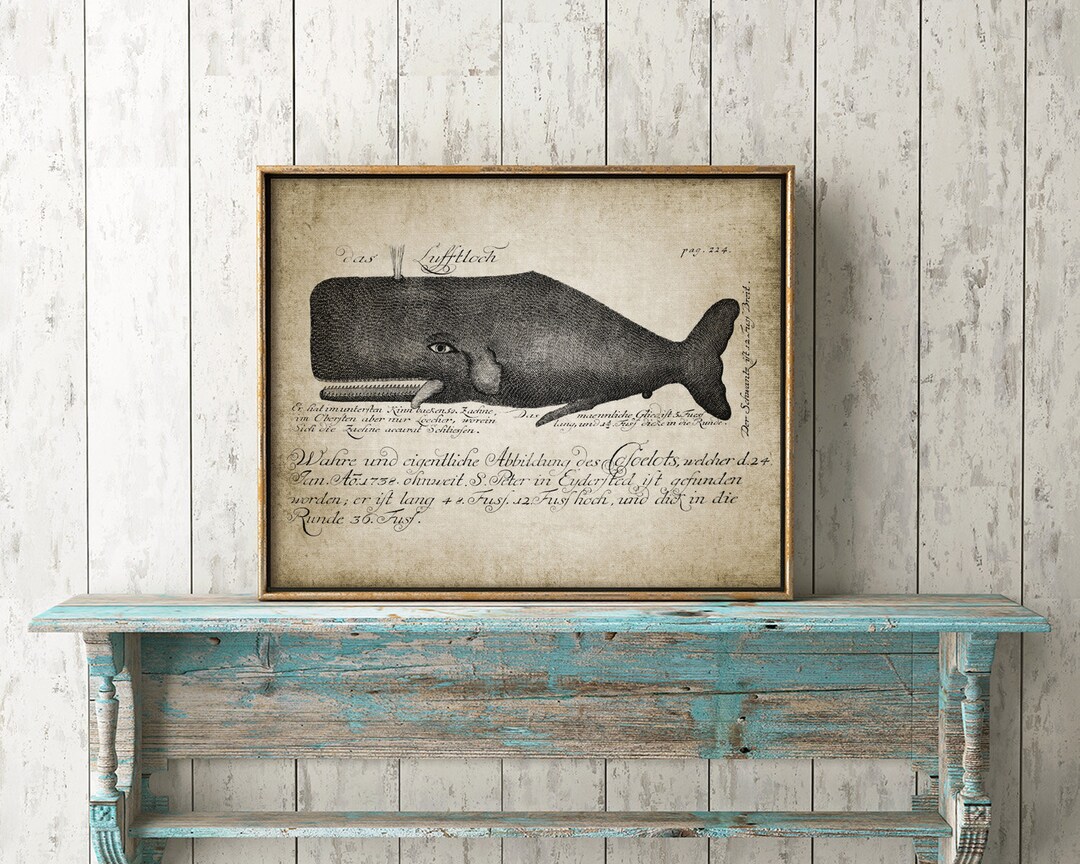 Whale Wall Art Printable Antique Sperm Whale Art Toothed - Etsy