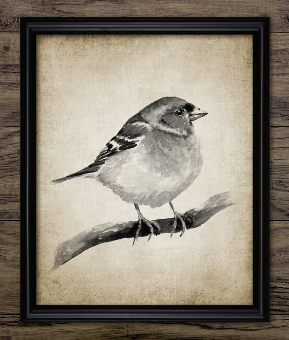 Chaffinch Watercolor Painting Printable Chaffinch Painting | Etsy