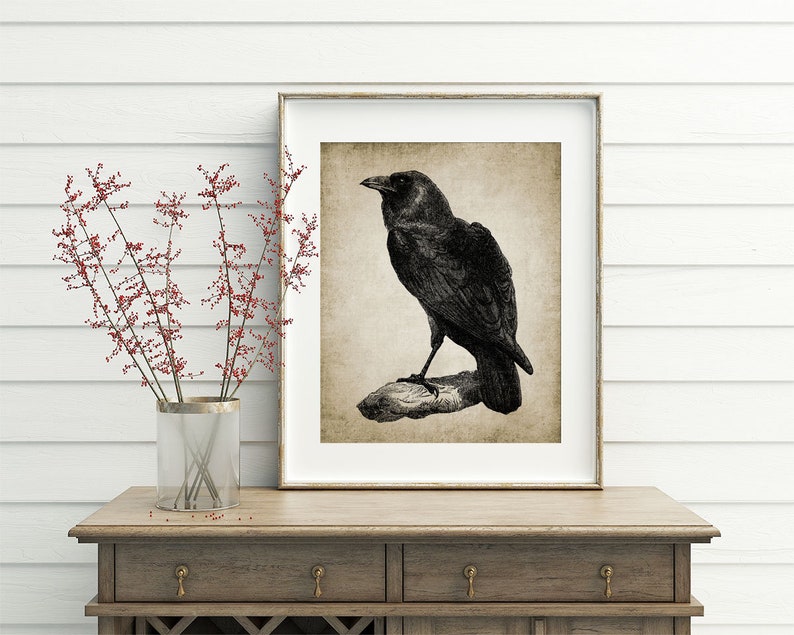 Raven Wall Art Print Antique Raven Poster Gothic Decor Etsy Denmark