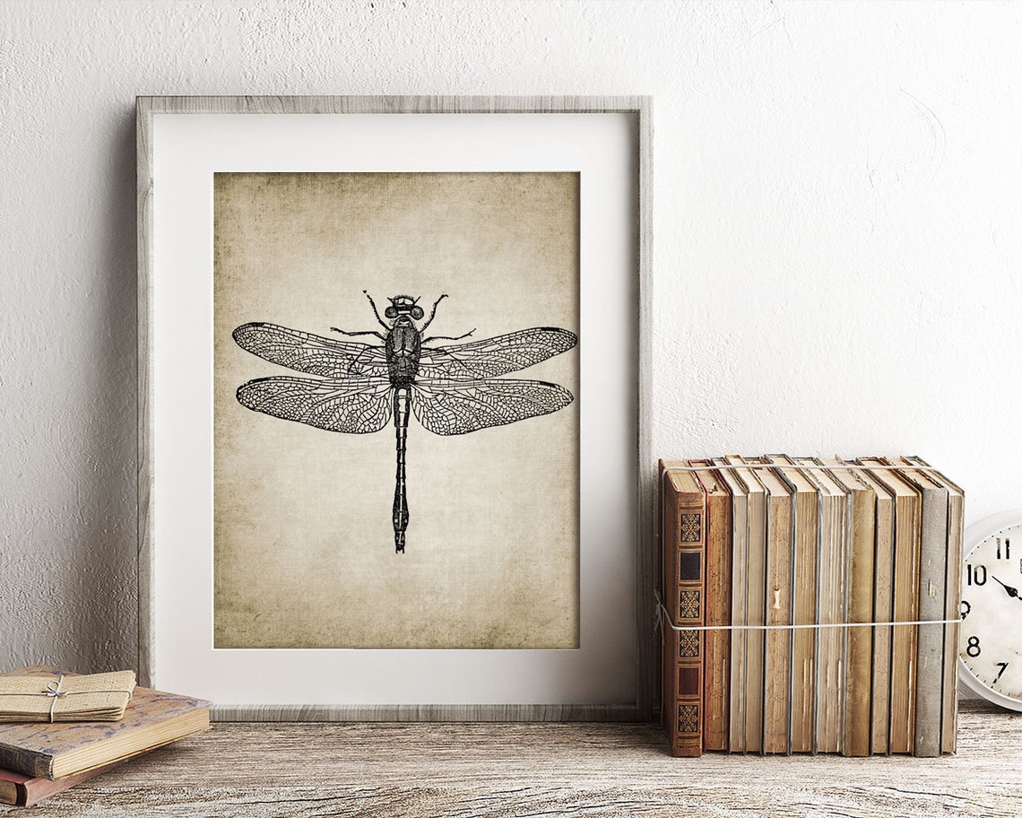 Vintage Dragonfly Wall Art, Printable Dragonfly, Dragonflies, Vintage ...