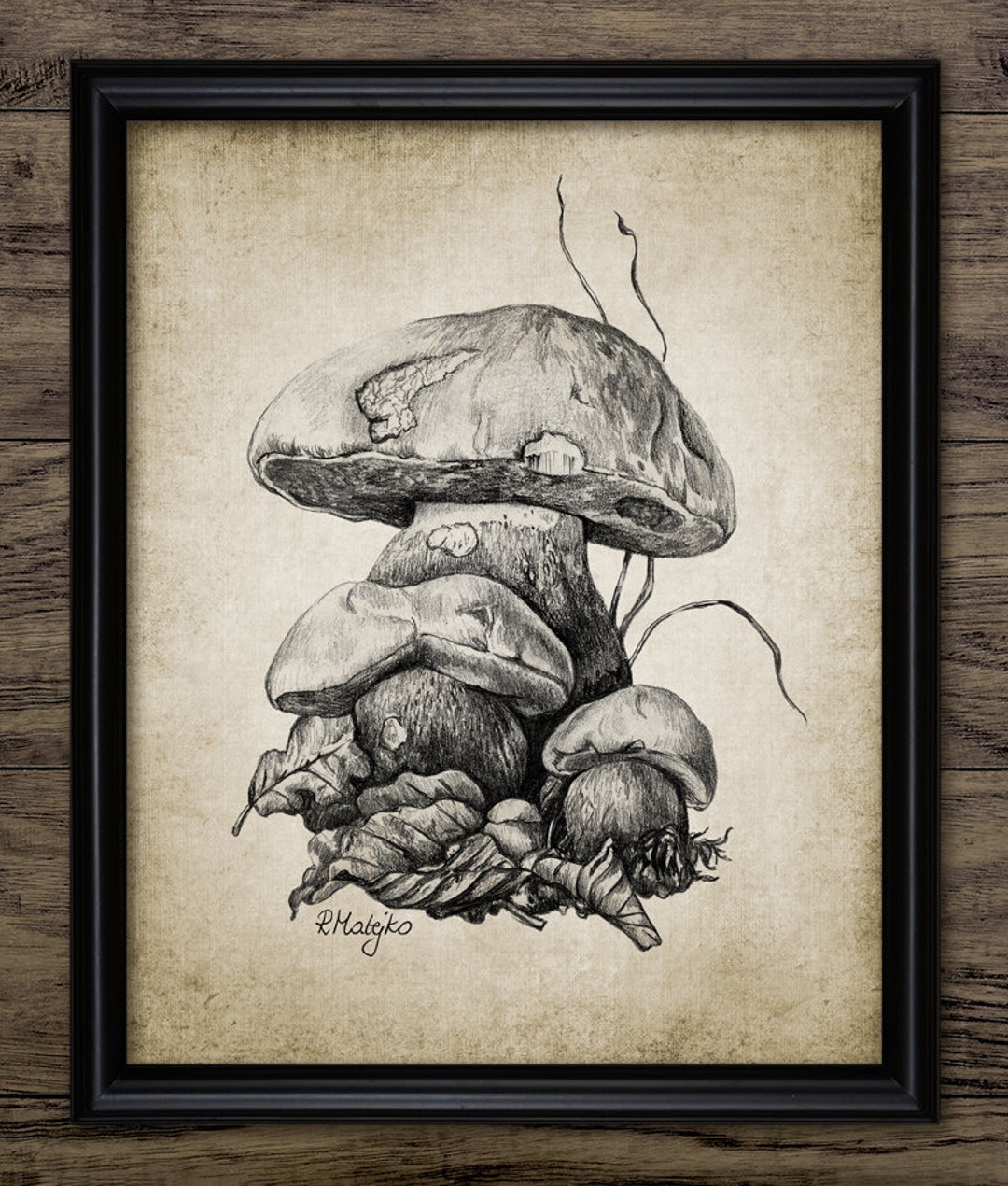 Fall Mushroom Pencil Drawing Art, Printable Mushroom, Autumn, Fall ...