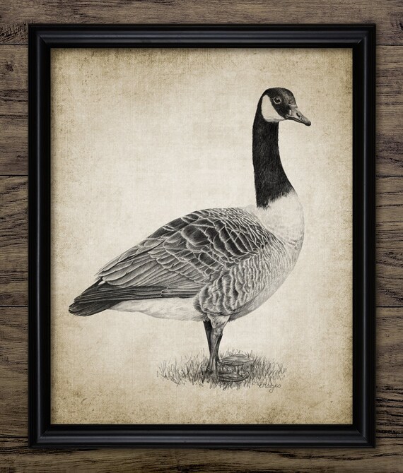 Goose Pencil Drawing Printable Goose Goose Poster Farmhouse | Etsy