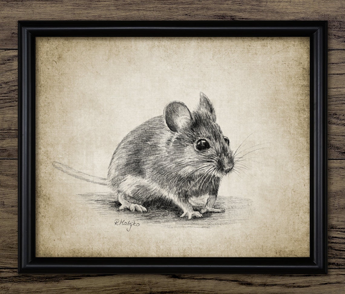 Mouse Pencil Drawing, Printable Mouse Drawing, Mouse Wall Art, Mouse ...