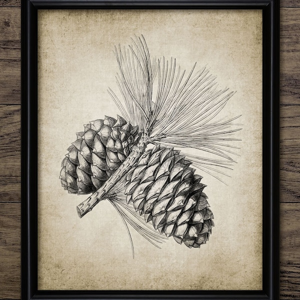 Pine Cone Tree Decor - Etsy