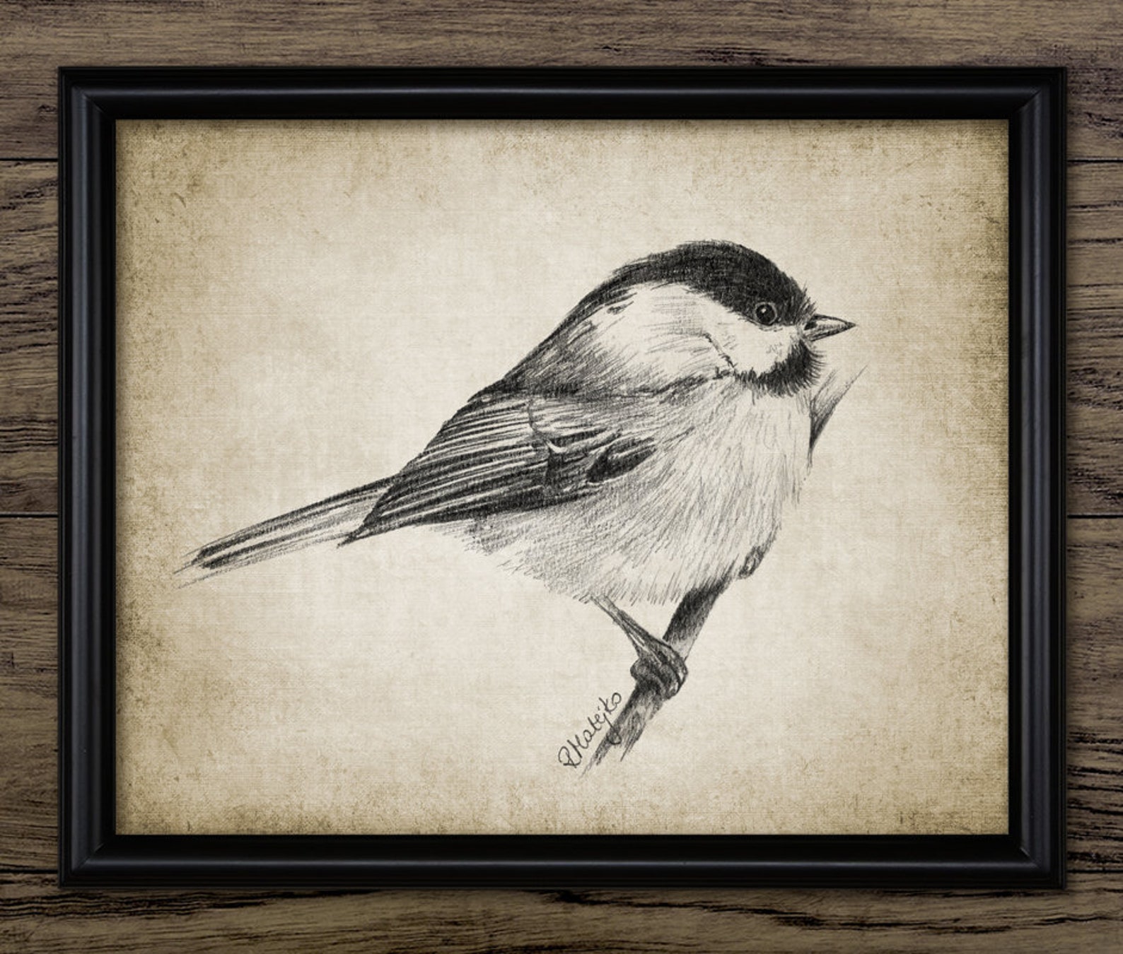Chickadee Pencil Drawing Printable Chickadee Drawing | Etsy
