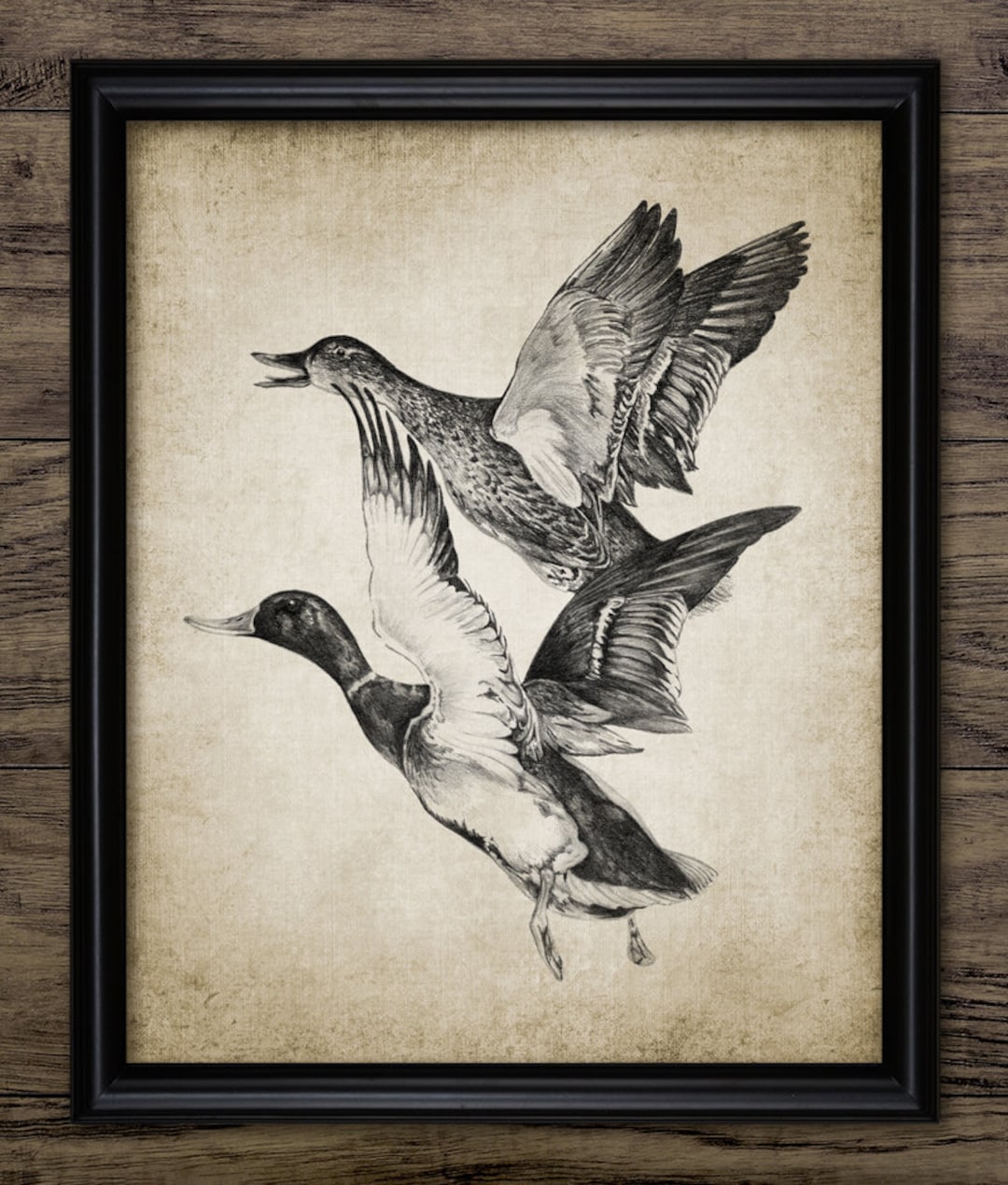Duck Drawing, Printable Duck Drawing, Duck Wall Art, Duck Bird Decor ...