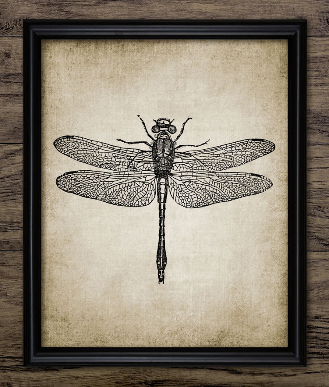 Vintage Dragonfly Wall Art, Printable Dragonfly, Dragonflies, Vintage ...
