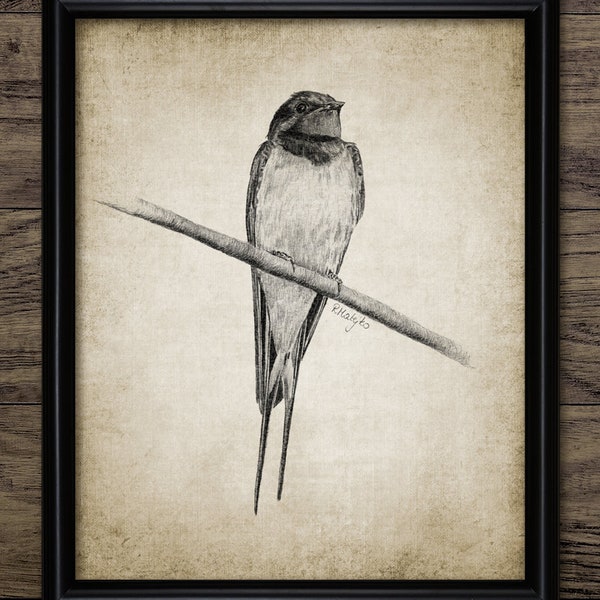 Swallow Drawing - Etsy
