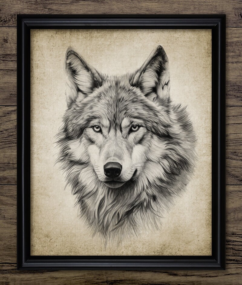 Timber Wolf Wall Art, Printable Wolf, Eastern Wolf, Rocky Mountain Wolf ...