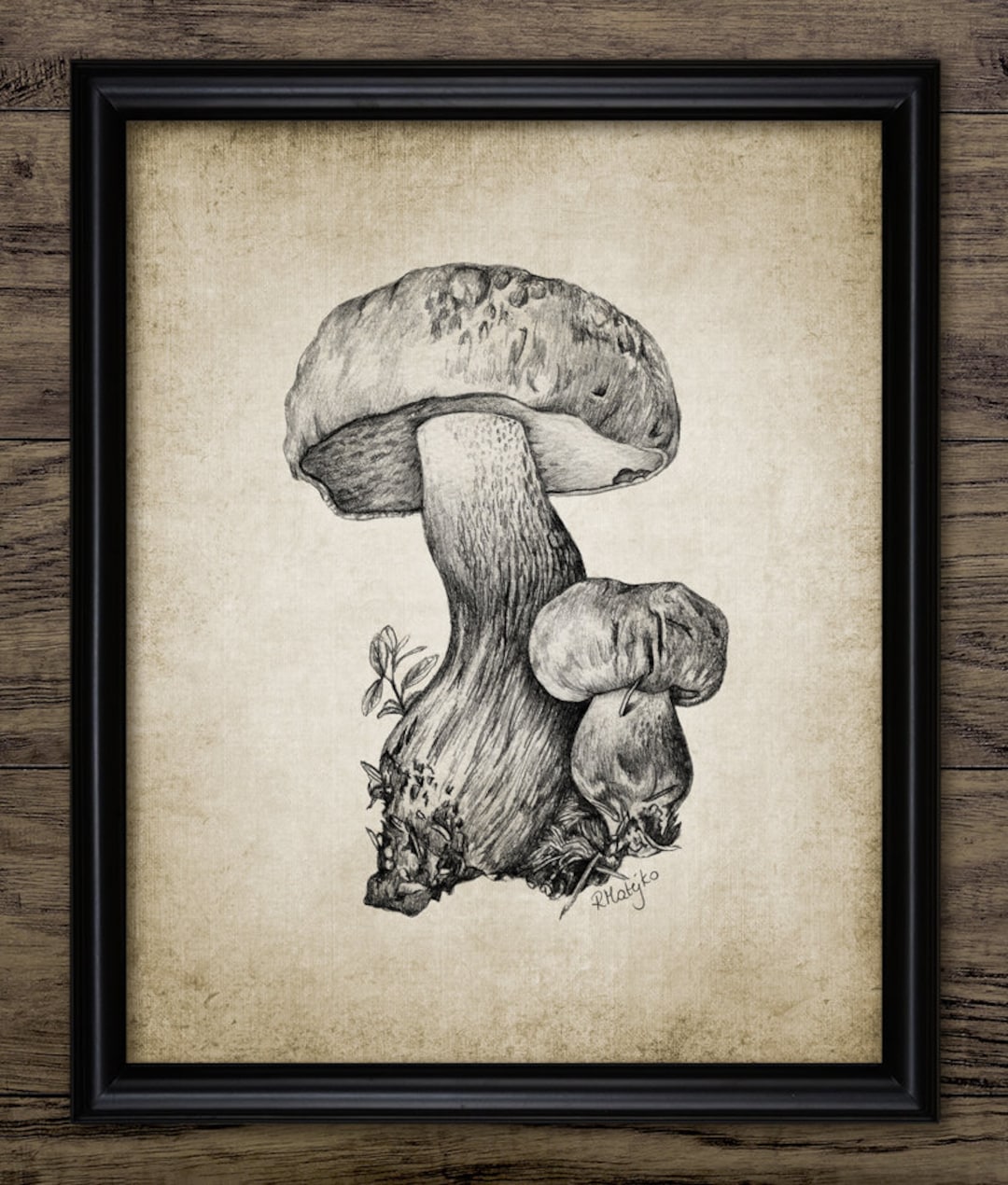Mushroom Pencil Drawing Wall Art, Printable Mushroom, Autumn, Fall ...