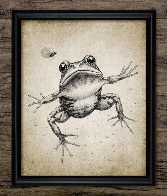 Cute Tree Frog Drawing
