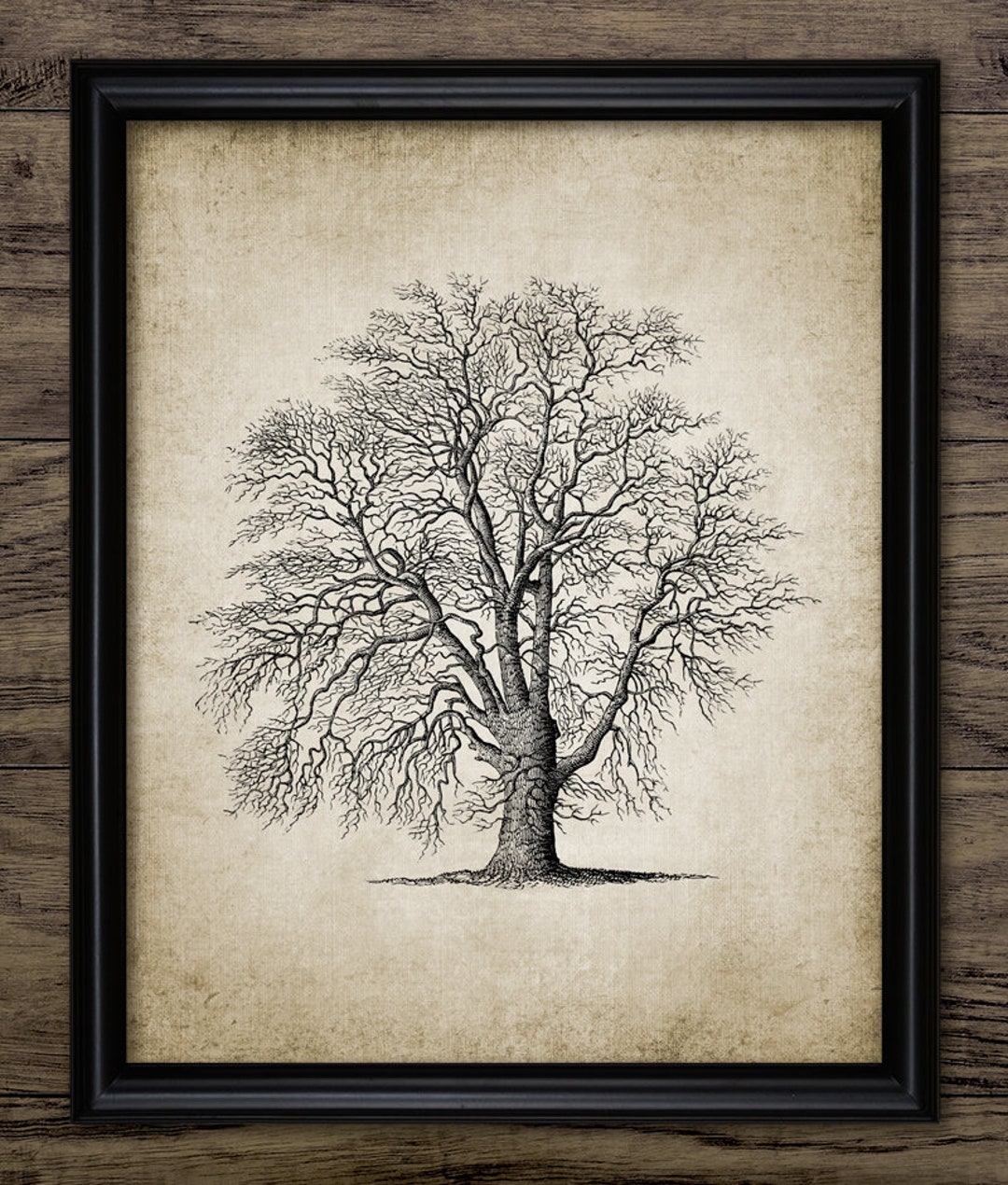 Baum Wandkunst, Baum Zeichnung, Baum Skizze, Wald, Wald, Botanische ...