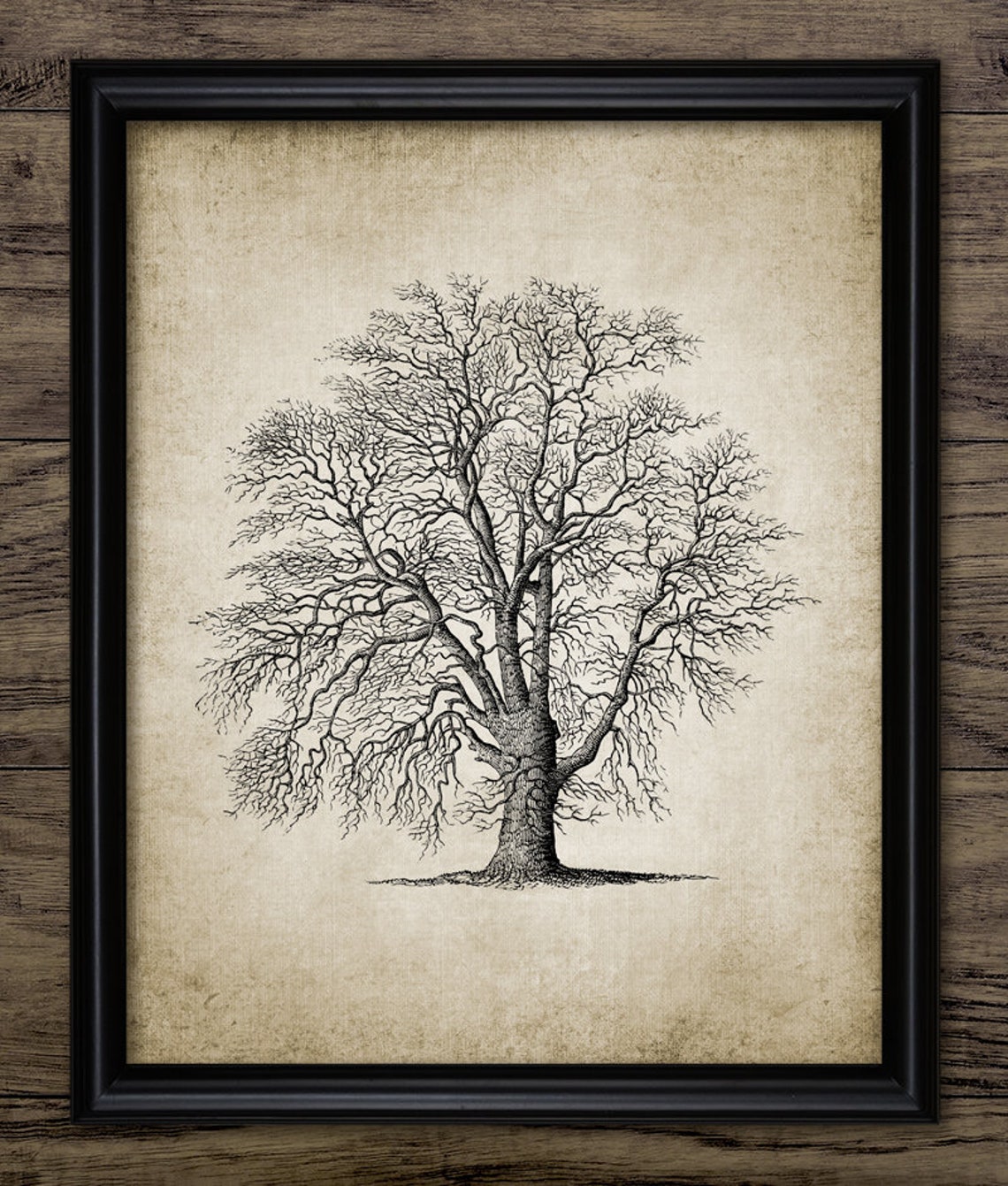 Tree Wall Art Printable Tree Drawing Tree Sketch Woodland - Etsy
