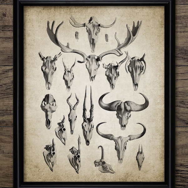 Antler Wall Rack - Etsy