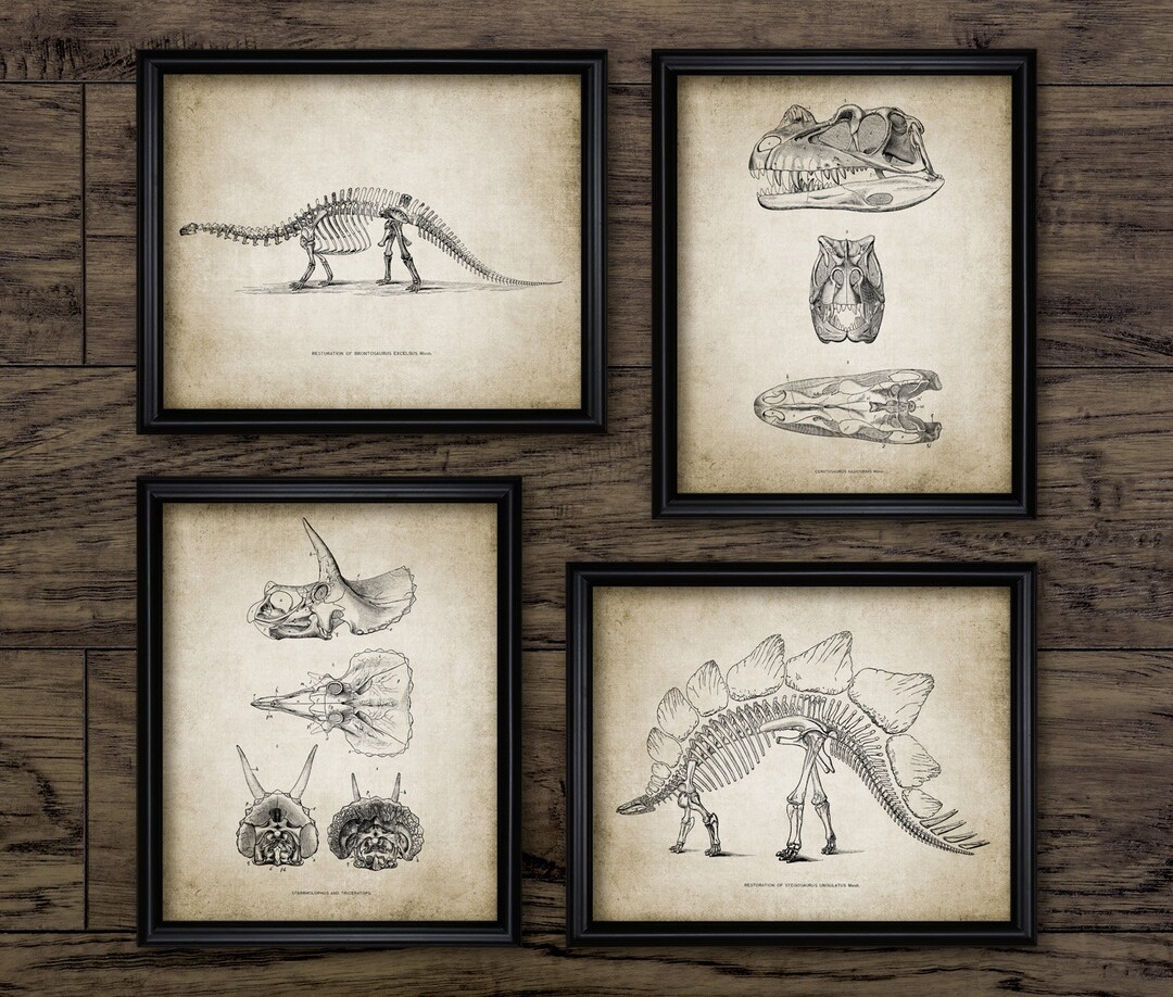 Dinosaur Wall Art Set of 4, Brontosaurus Skeleton Anatomy, Triceratops ...