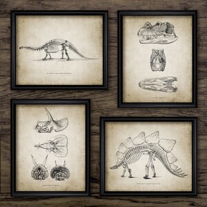 Dinosaur Wall Art Set of 4 Brontosaurus Skeleton Anatomy | Etsy