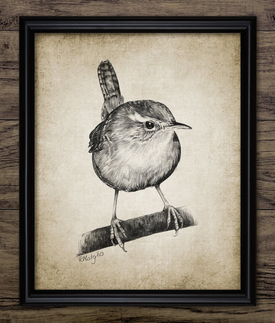 Wren Pencil Drawing Printable Wren Drawing Wren Bird Decor Wren Art