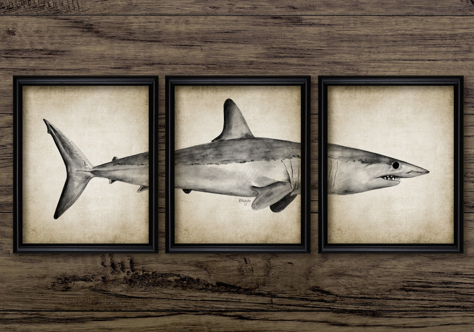 Mako Shark Watercolor Triptych Painting, Printable Mako Shark Painting ...