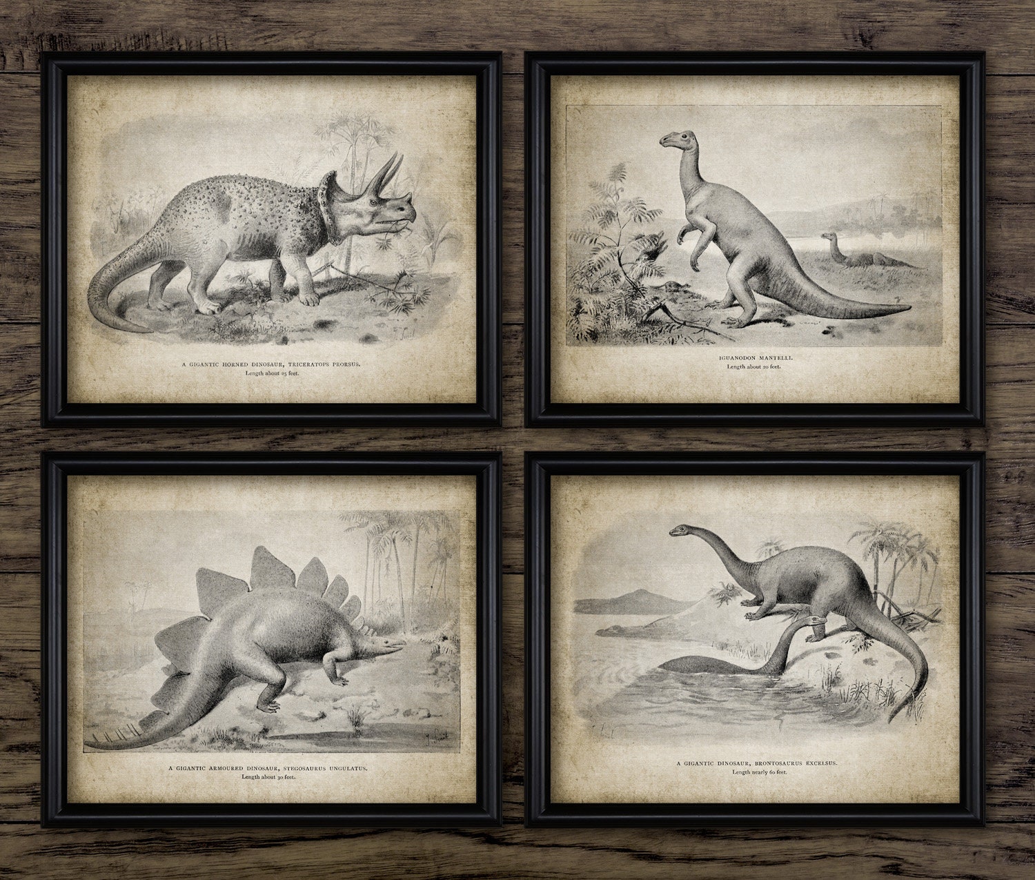 Dinosaur Wall Art Set Of 4 Brontosaurus Triceratops | Etsy