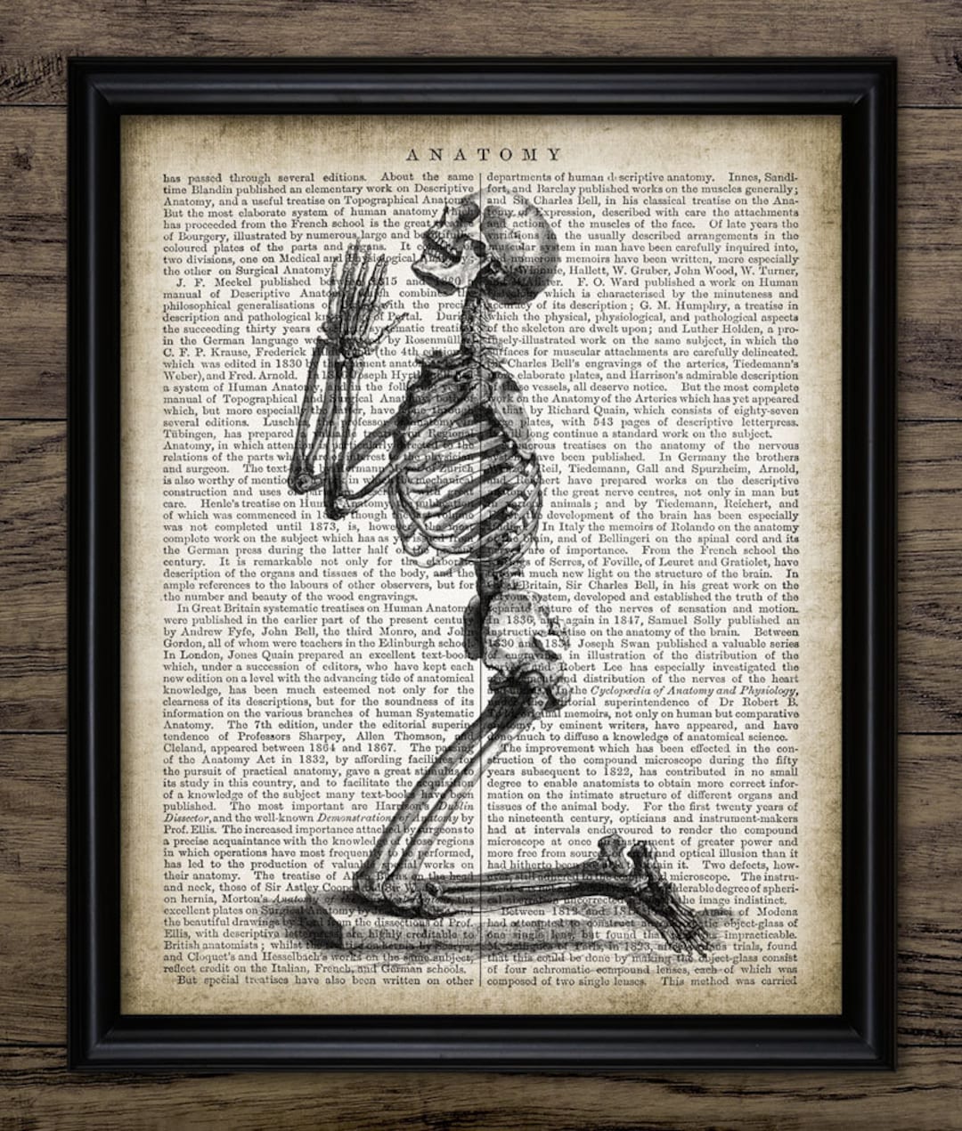Vintage Praying Skeleton Print on Anatomy Dictionary Page Background ...